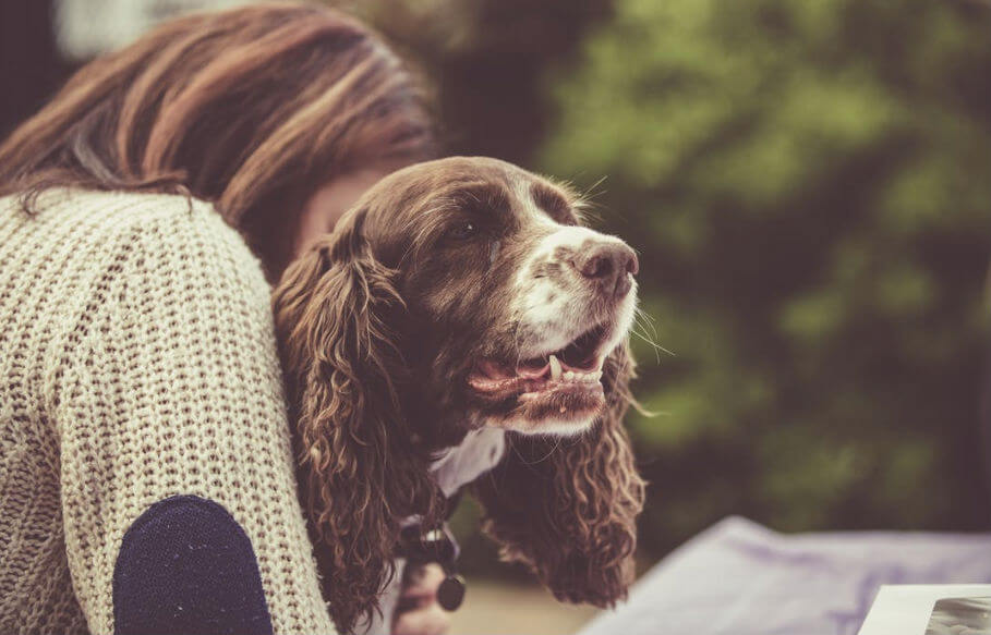 De wetenschap bewijst: huisdieren zijn goed voor je mentale gezondheid