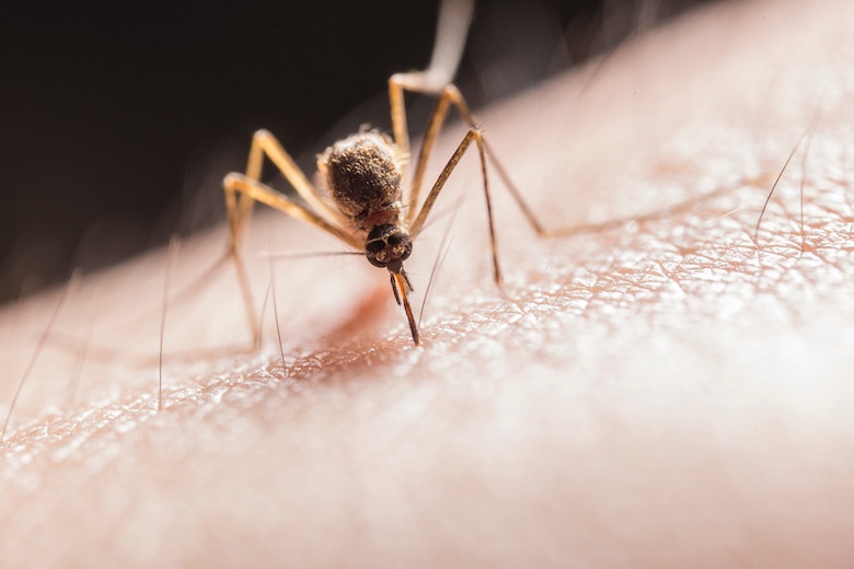 6 tekenen die erop kunnen wijzen dat je allergisch bent voor muggenbeten