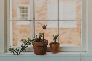 Zijn je raamkozijnen vies en stoffig? Met dit trucje maak je ze in een ...