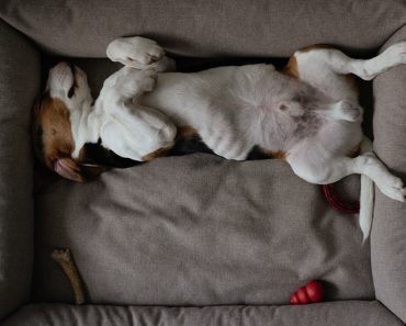 Tips en Weetjes Huis & Tuin