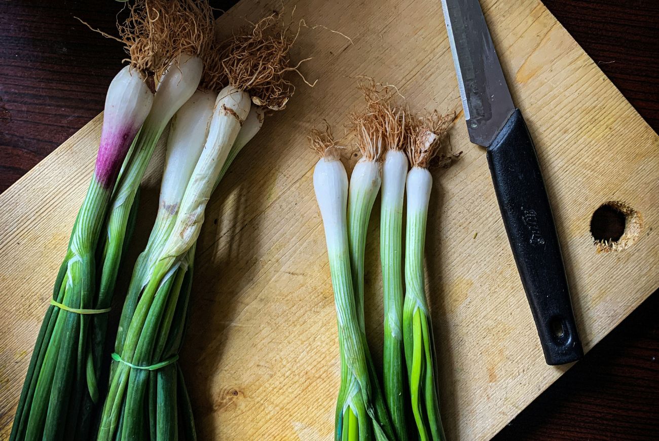 Zo kun je zelf bosui groeien in je vensterbank